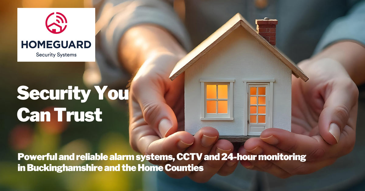 Service - Page 3 of 4 - Homeguard Security